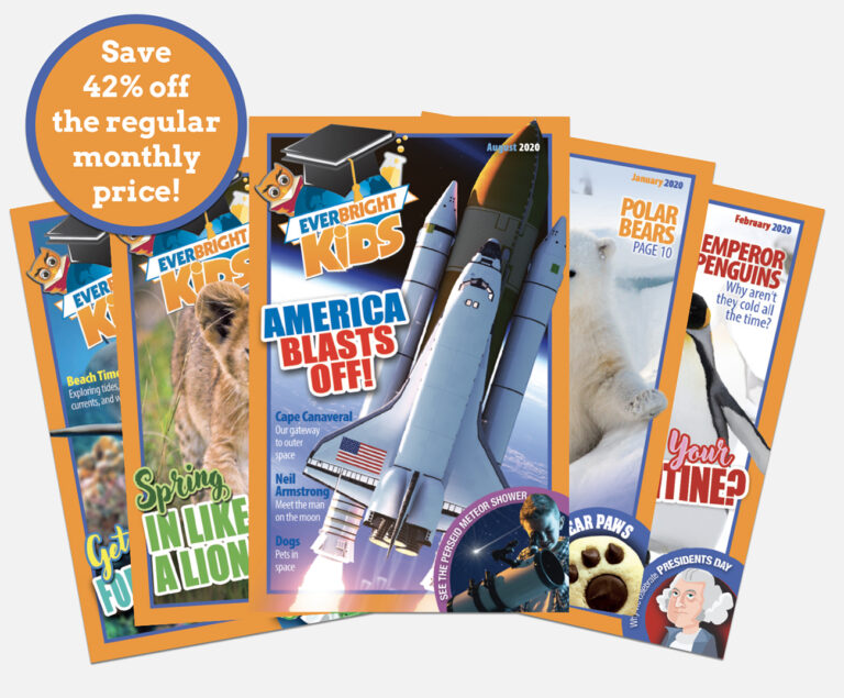 EverBright Kids | Award Winning: Kids Books & Videos Lessons!